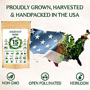 Herb Seeds 15 Variety Pack - Non GMO, Heirloom Seeds for Planting Indoor, Outdoor, and Hydroponic Medicinal Garden - Basil, Cilantro, Mint, Lavender, Rosemary, Dill, Parsley, Thyme, Sage, and More