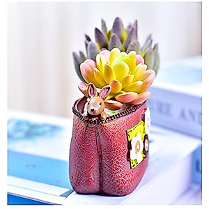Novelty and Cute Little Things Umbrella Coin Bag Flower Pot Garden Flower Pot Resin Succulent Potted Bonsai Plant Stand Home Desk Mini Ornaments Without PlantsFlower Series Coin Bag Flower Pot