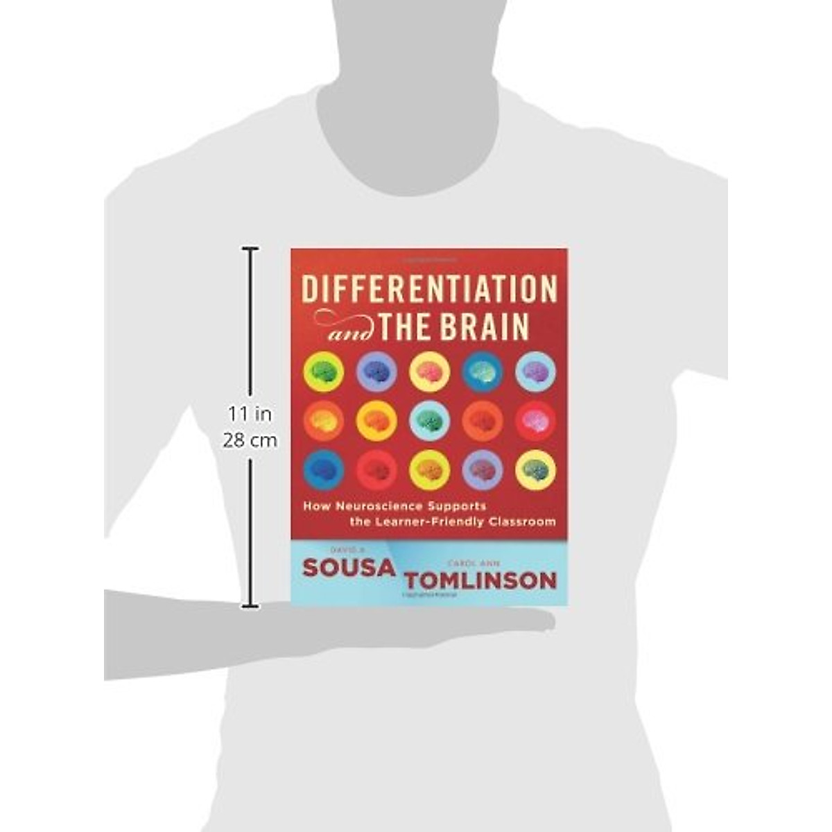 Differentiation and the Brain: How Neuroscience Supports the Learner-Friendly Classroom