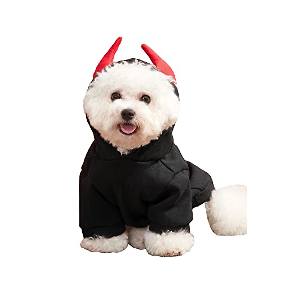 QWINEE Dog Hoodie Reflective Skull Print Cat Clothes Sweatshirt for Puppy Small Medium Dogs Kitten Light Black S