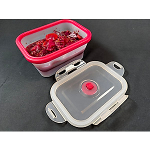 Aura Global Collapsible Silicone Food Storage Containers - Rectangular Set of 4 with Airtight Snap-Down Plastic Lids - Microwave, Dishwasher, Freezer Safe