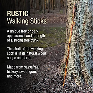 Free form Hickory Walking Stick-48