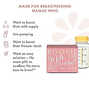 Boobie Bar Superfood Lactation 1.7 Ounce Bars Package May Vary, Oatmeal Chocolate Chip, 6 Count