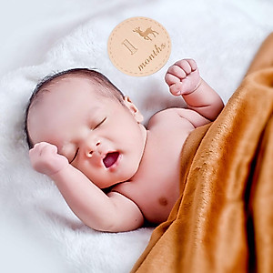 VALICLUD 12pcs Baby Monthly Cards Wooden Discs Milestone Cards Baby First Year Growth Photography Picture Commemoration Props