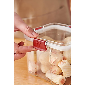 MSM Products Crystal Clear Transparent Food Storage Containers, BPA-Free, Glass Clear Plastic, 12 pieces set (6 lids and 6 containers). Total set capacity 10 LITERS. RED color 4 sides clip lock.