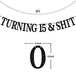 Happy 15th Birthday Banner, Cheers to 15 Years, Level 15, Teen Boys Girls Funny 15th Birthday Party Decorations Backdrop Gifts, Black Glitter