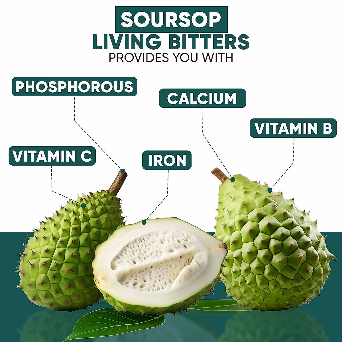 Herboganic Soursop Bitters Liquid | Natural Living Bitters for overall wellness 16 OZ | Soursop Bitters