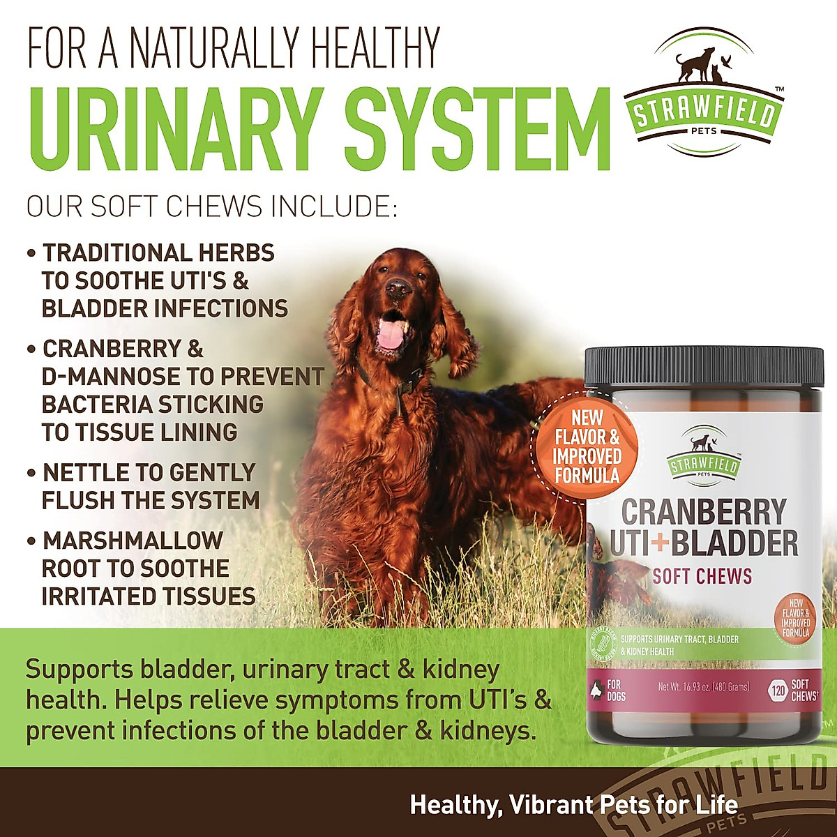 Strawfield Pets' Cranberry UTI + Bladder Soft Chews Cranberry Supplement for Dogs Urinary Tract - Bacon Flavor 120 Chews