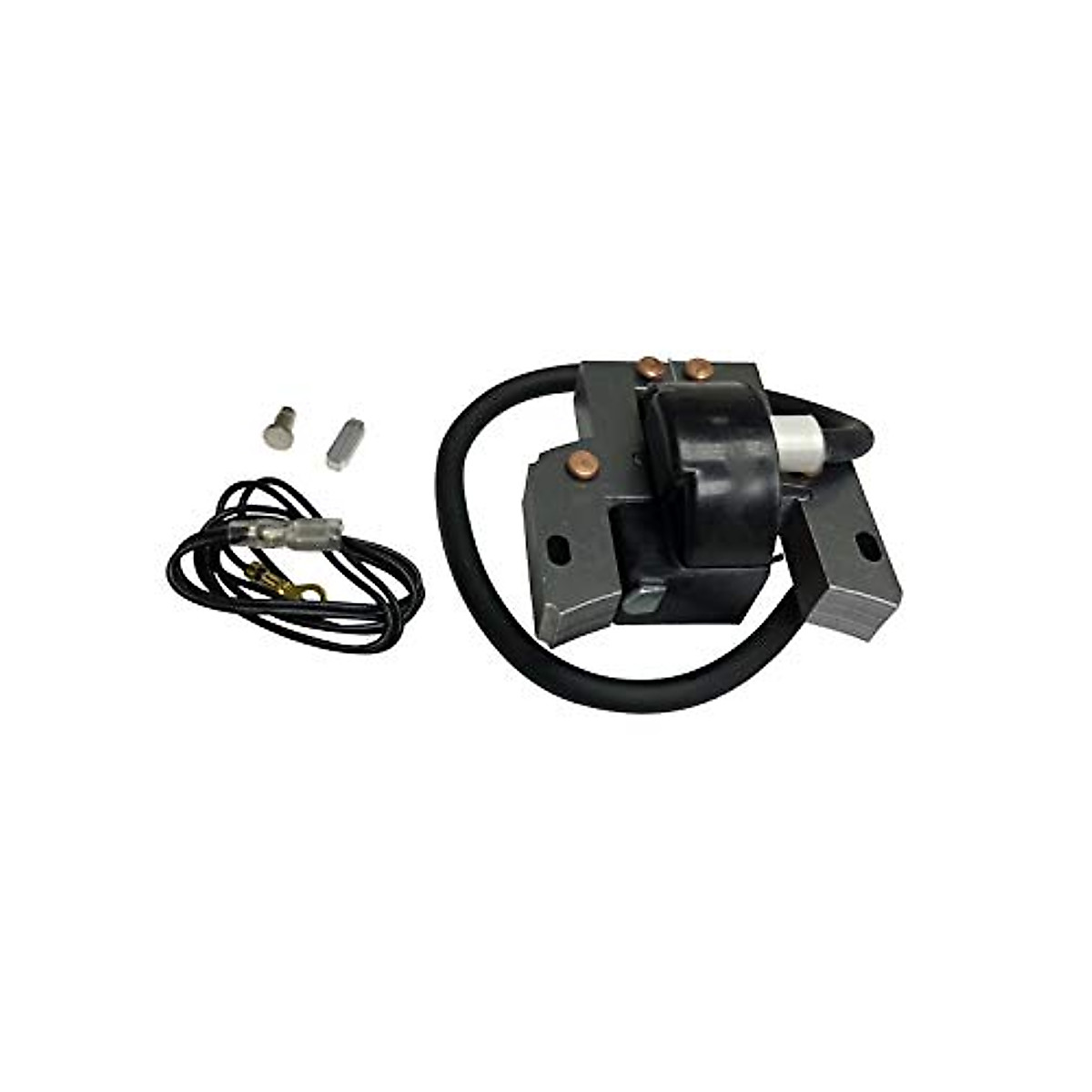ENGINERUN 398593 Ignition Coil Module Magneto for Briggs & Stratton 3HP Engines 793281, 793352, 792594, 395489, 398593 496914