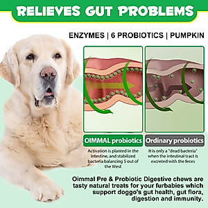 Probiotics for Dogs with Prebiotics and Digestive Enzymes, Dog Probiotics Chews Omega-3 & 6, Vitamin, Improve Digestion, Immunity, Reduce Diarrhea, Gas