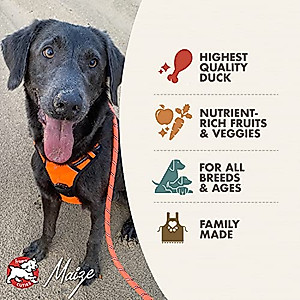 Fromm Four-Star Nutritionals Duck A La Veg Dog Food - Premium Dry Dog Food - Duck Recipe - 26 lb