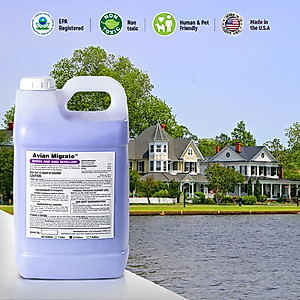 Avian Migrate Goose Deterrent, Bird Repellent Concentrate, Geese Repellent, Non-Toxic, Made in The USA, Removes Geese from Beaches, Yards, Ponds, Parks and Ground (1/2 Gallon)