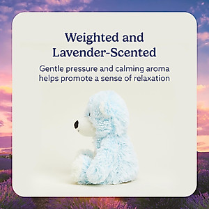warmies Microwavable & Weighted Stuffed Animals, Baby Boy Bear - Heated Stuffed Animal Plushie for Warmth & Comfort - Cute Soft Plush Toys for Adults & Children (Boys, Girls, Babies & Toddlers)