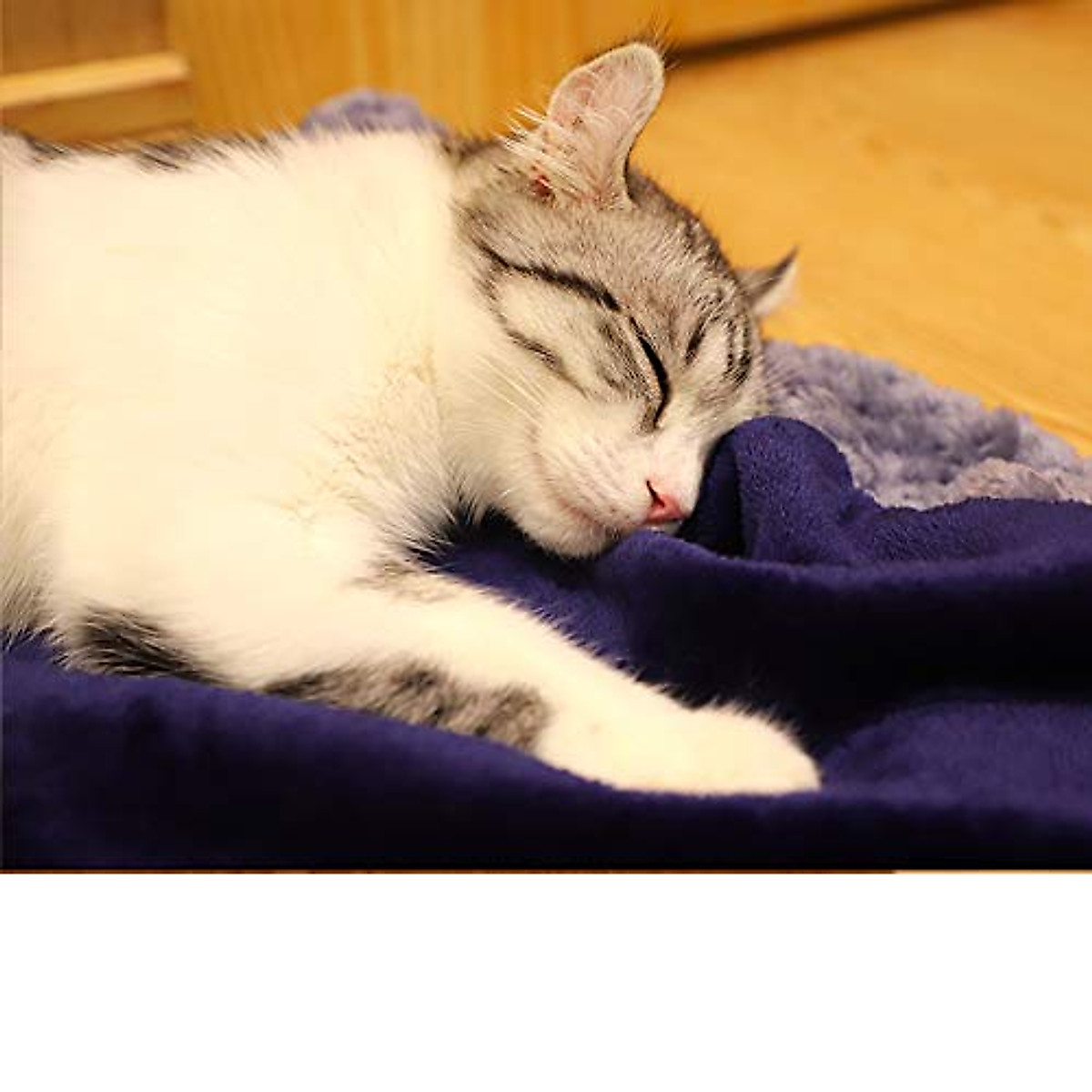 furrybaby Premium Fluffy Fleece Dog Blanket, Soft and Warm Pet Throw for Dogs & Cats