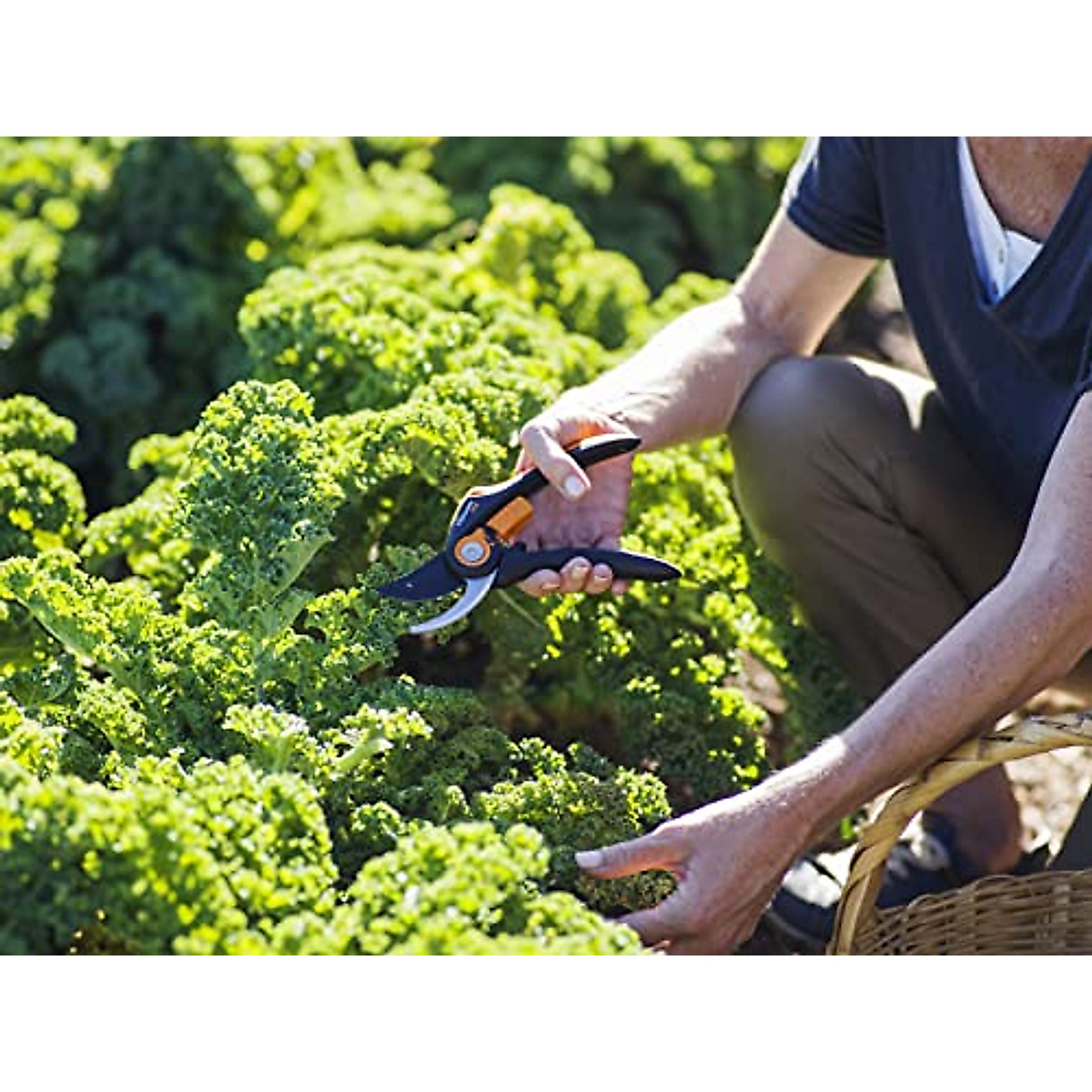 Fiskars SmartFit Pruner Bypass P68, Cutting Diameter Adjustable Up to 2.4 cm, Steel Blades with Non-stick Coating/Fiberglass ReinForced Plastic Handles, Length:20 cm, Black/Orange, 1001424