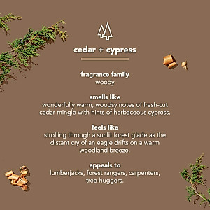 Method Men Body Wash, Cedar + Cypress, Paraben and Phthalate Free, 18 FL Oz (Pack of 3)