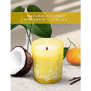 Coconut Mandarin and Vanilla Wood Wick Scented Candle | Big Candle for Home Decor 10.6 oz Scented Soy Candle, Relaxing Candles for Women and Men, Aromatherapy Candle Gift