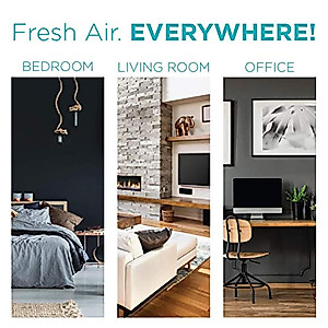 BLACK+DECKER Tabletop Air Purifier - 3-Stage Filtration System - HEPA Air Purifiers for Home