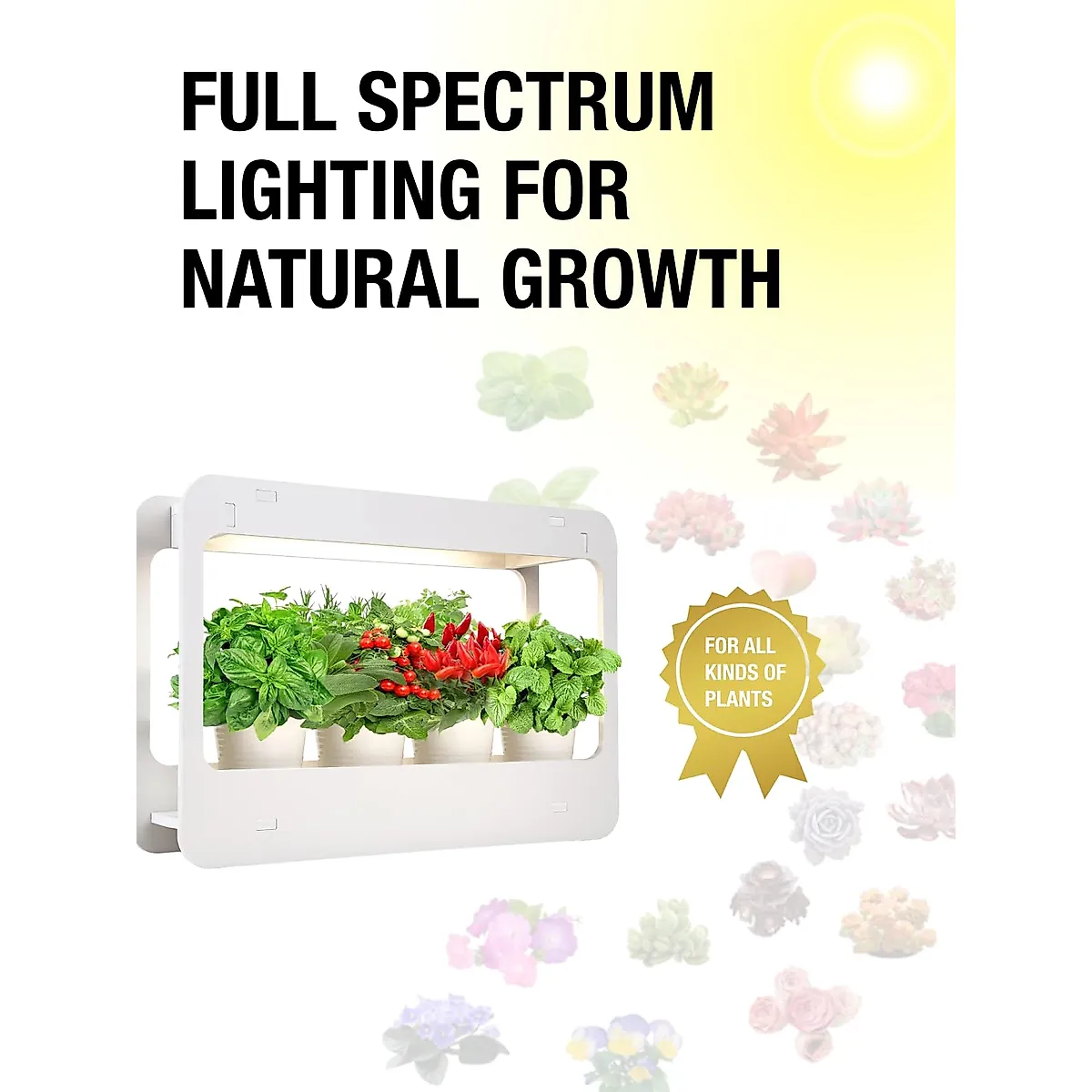 TORCHSTAR LED Indoor Herb Garden, CRI 95+, Herb Grower Light with Timer, Indoor Gardening System, Full Spectrum Light, 24V Garden Kit for Plant Grow Novice, White, 4000K, Pots & Plants Not Included