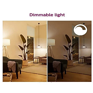 PHILIPS Color and Tunable White A19 LED 60W Equivalent Dimmable Wi-Fi Wiz Connected Smart LED Light Bulb, Easy Control with App or Voice, Works with Alexa, Google Assistant, Siri Shortcuts (4-Pack)