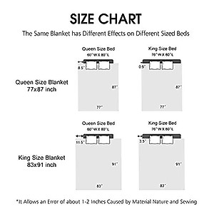 JYK Heavy Korean Faux Mink Fleece Blanket, 5 LB - 2 Ply Reversible 520GSM Silky Soft Plush Warm Blanket for Autumn Winter (Queen, Flower/Light Blue)