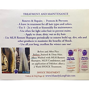 Mane-ly Long Hair SHOCK! Treatment
