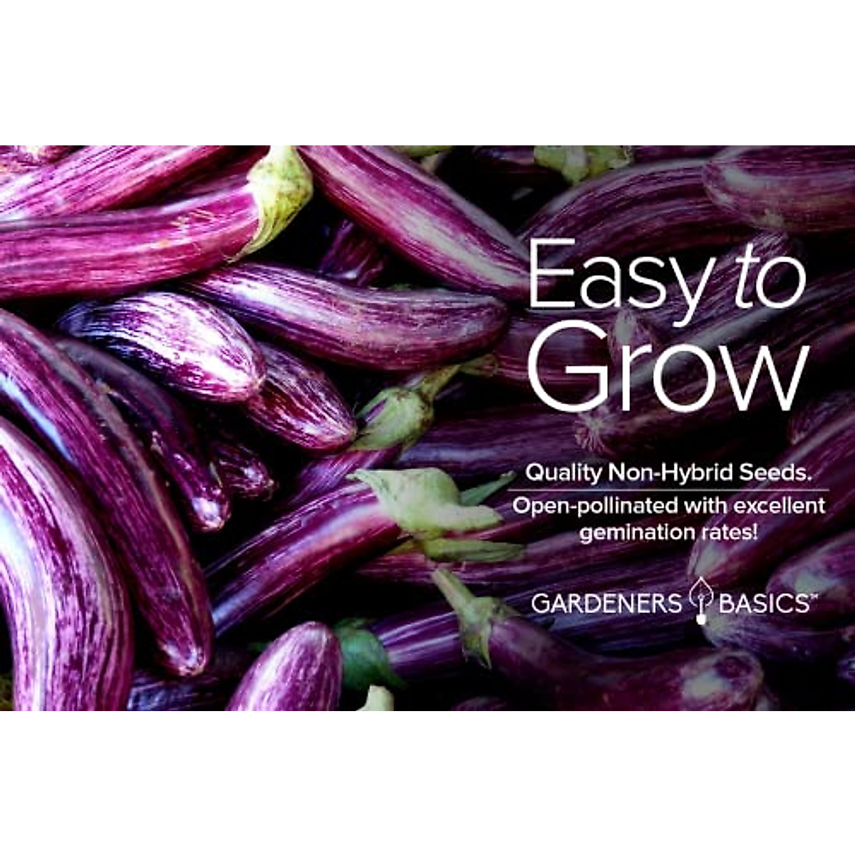 Eggplant Seeds for Planting - (Long Purple) is A Great Heirloom, Non-GMO Vegetable Variety- 500 mg Seeds Great for Outdoor Spring, Winter and Fall Gardening by Gardeners Basics