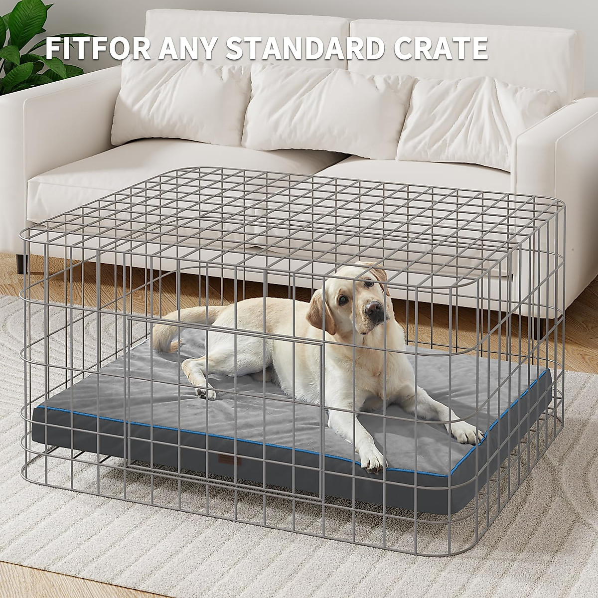 M Waterproof Dog Beds - Outdoor Dog Bed Washable with Oxford Fabric Surface, Egg Crate Orthopedic Foam Pet Bed up to 50lbs with Removable Cover, Machine Washable (Grey,30"x20"x4")