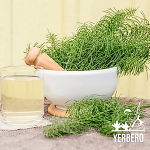 Yerbero - Premium Loose Horsetail Tea 2oz (58gr) | Cola De Caballo Te Herbal | Makes 30+ Cups | Shave Grass - Snake Grass | Stand Up Resealable Bag | Crafted By Nature100% All Natural.