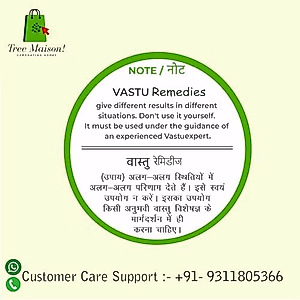 TREEMAISON Vastu White Running Horses for Prosperity | Positive Energy & Good Luck Showpiece | Resin Decor for Home & Office | Health & Wealth Enhancement