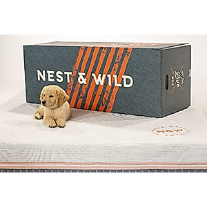 Nest & Wild Mattress Plush 12 Inch | Made in The USA | 100% Fiberglass-Free Cool Touch Cover | Ventilated Memory Foam | Bed in a Box | CertiPUR-US & OEKO-TEX100 Certified Foams (Twin XL)