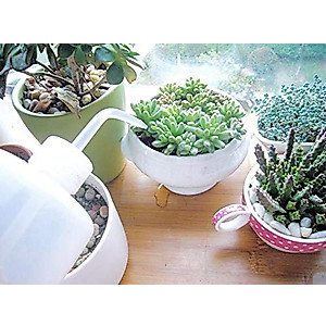 SYBL 2Pcs 150ml 5oz Safety Wash Bottle with Bent Tip Narrow Mouth Plastic Squeeze Watering Containers Label Tattoo Wash Bottle