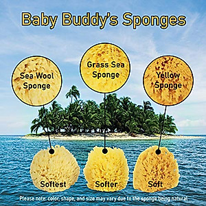 Baby Buddy Natural Yellow Sea Sponge, Baby Bath Sponge, Soft on Tender Skin, Hypoallergenic, Yellow, 4in, 1 Count