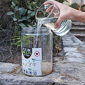 Shield Fly-in Reusable Fly Trap - Includes All Natural Bait for Fly Traps