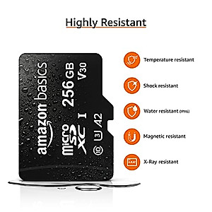 Amazon Basics microSDXC Memory Card with Full Size Adapter, A2, U3, Read Speed up to 100 MB/s, 256 GB