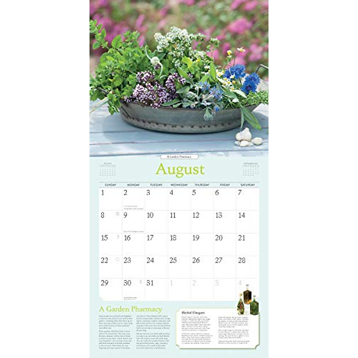 Rosemary Gladstar's Herbs Wall Calendar 2021