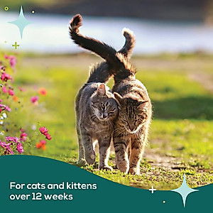 bSerene Pheromone Calming Collar for Cats Up to 30 Days Stress Relief Promotes Calmness, Reduces Hiding, Excessive Meowing, Urine Marking, Aggression, Travel Stress Drug-Free, Vet-Tested