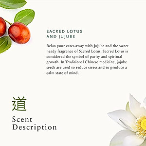 RITUALS The Ritual of Jing Mild Body Scrub - Exfoliating Body Scrub with Sacred Lotus & Jujube - 10.5 Oz