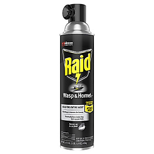 Raid Wasp and Hornet Killer, 17.5-Ounce (Pack - 6)