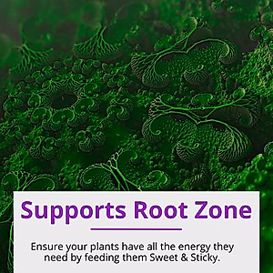 Humboldts Secret Sweet & Sticky – Carbohydrate and Saccharide Energy Source – Enhance Aroma and Flavor of Plants – Potting Soil for Indoor Plants – Energy for Plants – 32 Ounces