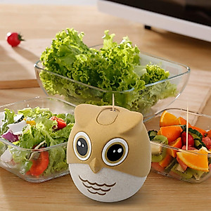 Cute Toothpick Holder Dispenser with 100 Natural Bamboo Toothpicks, Awsaccy Portable Plastic Funny Decorative Toothpick Container Storage Box for Kitchen Restaurant Party Car, Unique Gift Idea (Owl)