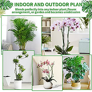 ROADPLUM 5 Pack 27.56" Detachable Twig Plant Support Stakes Set, Blends in to Plant, Branch Plant Sticks with Orchid Clips Twist Plant Ties, Twig Trellis for Indoor Outdoor Plants Potted Plants Flower