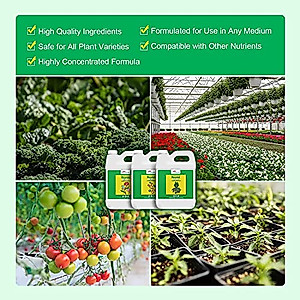 Bloom Grow Micro Liquid Nutrients - Flourish Hydroponic Garden Plant Fertilizer Series for Plants, Vegetables and Soil (Pack of 3-1 Liter Each) -Upgraded Version