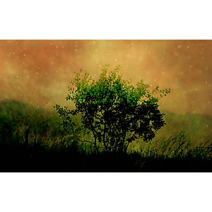 Ubuntu 10.04 64 Bit Intel I386 Install Boot ISO Lucid Lynx LTS