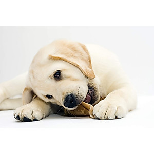 Pet Factory American Beefhide Chips Dog Chew Treats - Chicken Flavor, 22 oz