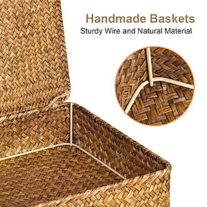 FOSSORH Set of 2 Flat Seagrass Storage Bins with Lid Wicker Storage Baskets for Organizing, Woven Shelf Organizer Bins Home Utility Organizer Box for Home & Office Supplies (Caramel)