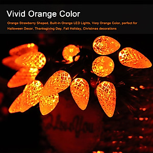 HUGSVIK 100 LED C6 Solar Orange Halloween Lights, 8 Modes Orange Christmas Lights for Outdoor, Waterproof Solar Orange Lights for Halloween, Christmas Tree Thanksgiving, Fall Garden Yard and Patio