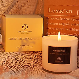 Chloefu LAN Vanilla & Coconut Scented Candle Sets Luxury Soy Jar Candle 7.1oz|45 Hour Long Lasting Burn Highly Scented Valentines Gifts for Men & Women All-Natural Soy Wax Candle 2 Pack