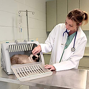 SportPet Designs Sport Pet Foldable Travel Cat Carrier with A Waterproof Bed - Front Door Plastic Collapsible Carrier, Gray (CM-10064-CS01)