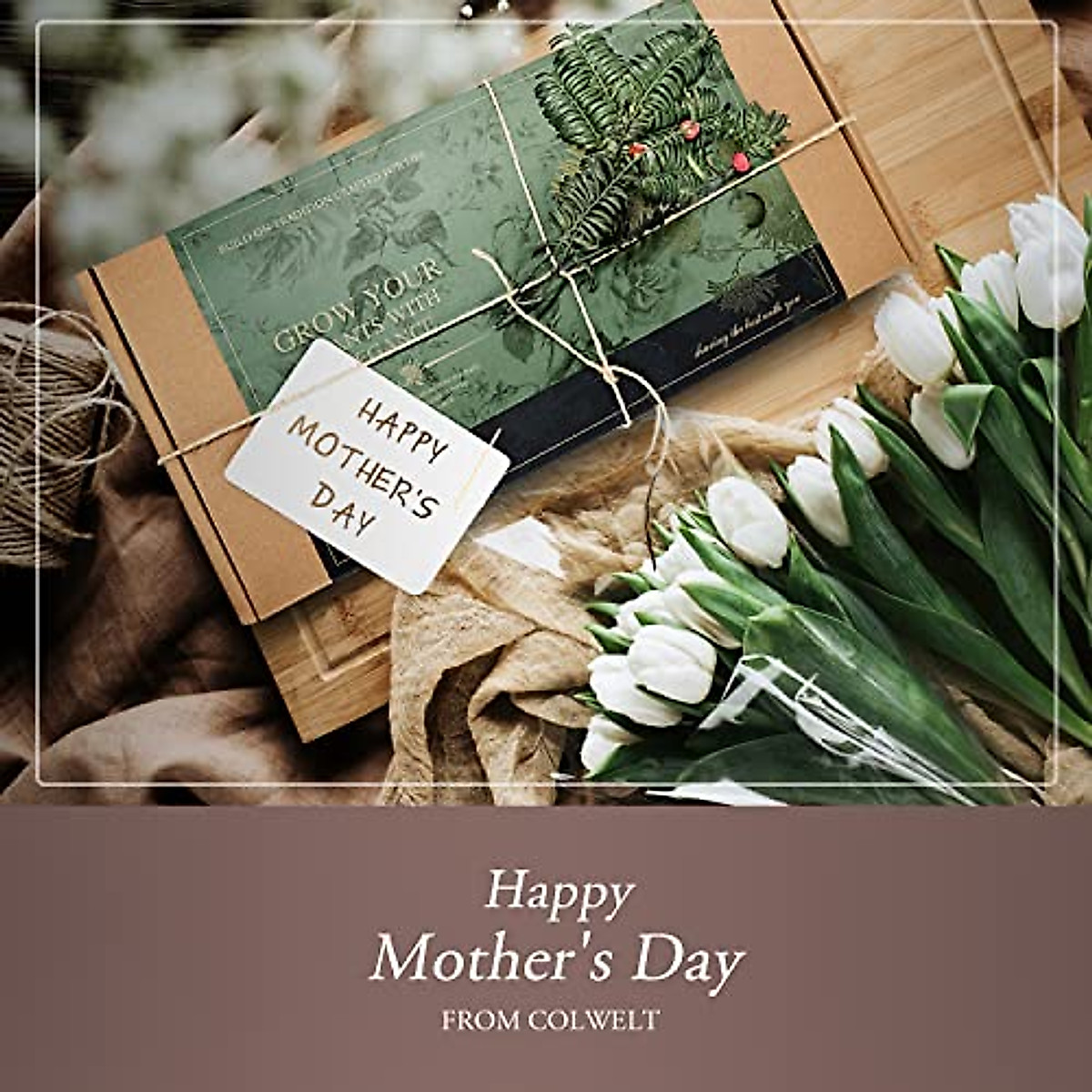 Colwelt Garden Tools Set, 8 Piece, Heavy Duty Gardening Tools with Wooden Handle, Including Garden Tote, Kneeling Pad, Gloves, Pruner, Trowel, Tulip Trowel, Cultivator - Gardening Gifts for Women Men